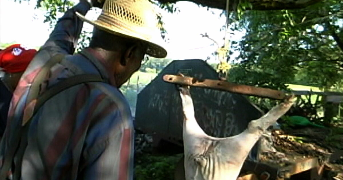 The Morris Chronicle | Folkstreams