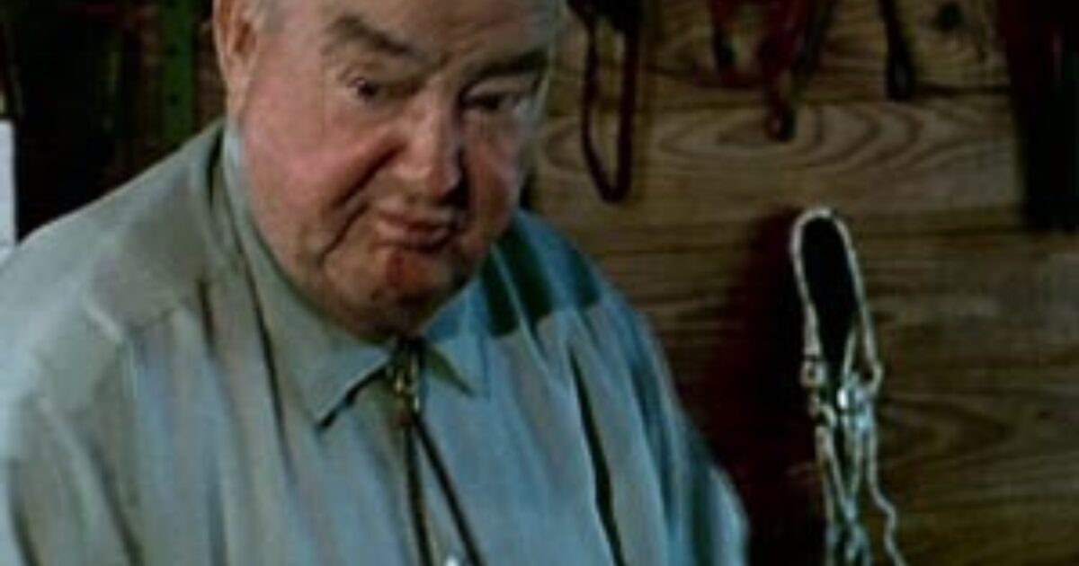 Ray Lum | Folkstreams